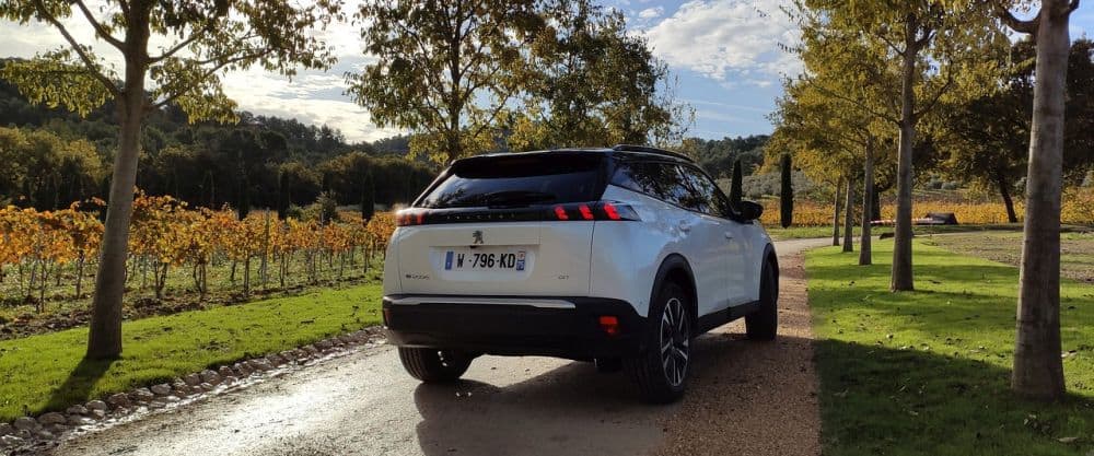 Experts Tip: Sixt CCAE Fleet in 2025 - HOT or MEGA FLOP?